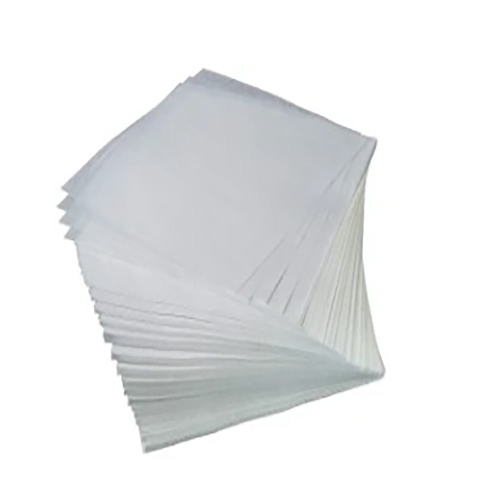Shop Our Range of Catering Disposables | Alliance National